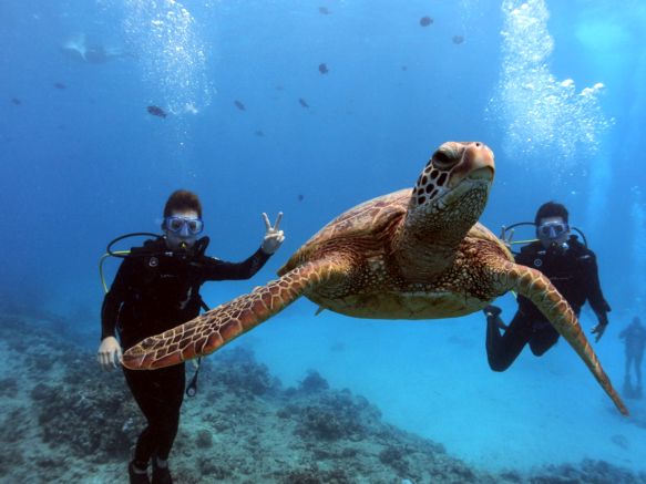 P3180027 - Apua Diving Hawaii